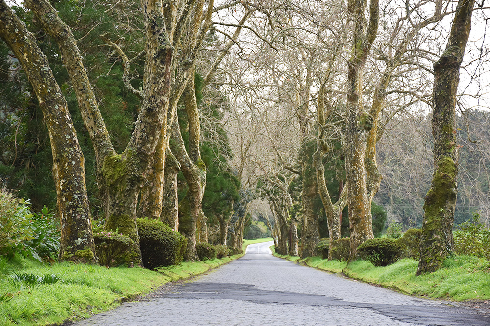 São Miguel Azoren Reisetipps: Entdecke die vielfältige Azoreninsel ...