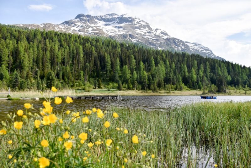 Der schönste Schweizer See - Meine persönlichen Favoriten - Reiseblog ...
