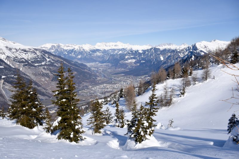 Winterwanderung Feldis: Familienfreundlicher Rundweg mit toller ...