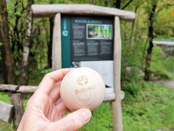 Ausflugstipp BoBosco Tessin: Viel Spass auf der familienfreundlichen ...