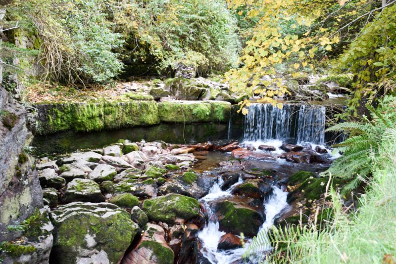 Ausflugstipp Murg Walensee: Familienfreundliche Wanderung auf dem ...